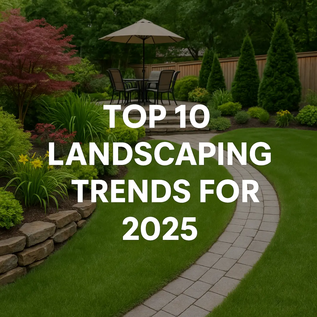 Top 10 Landscaping Trends for 2025 - Landscape Solutions RI